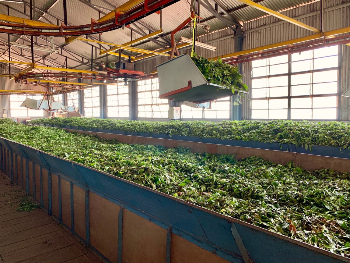 Our Weekend in Ooty, India: Everything to See and Do - Let's Be Merry