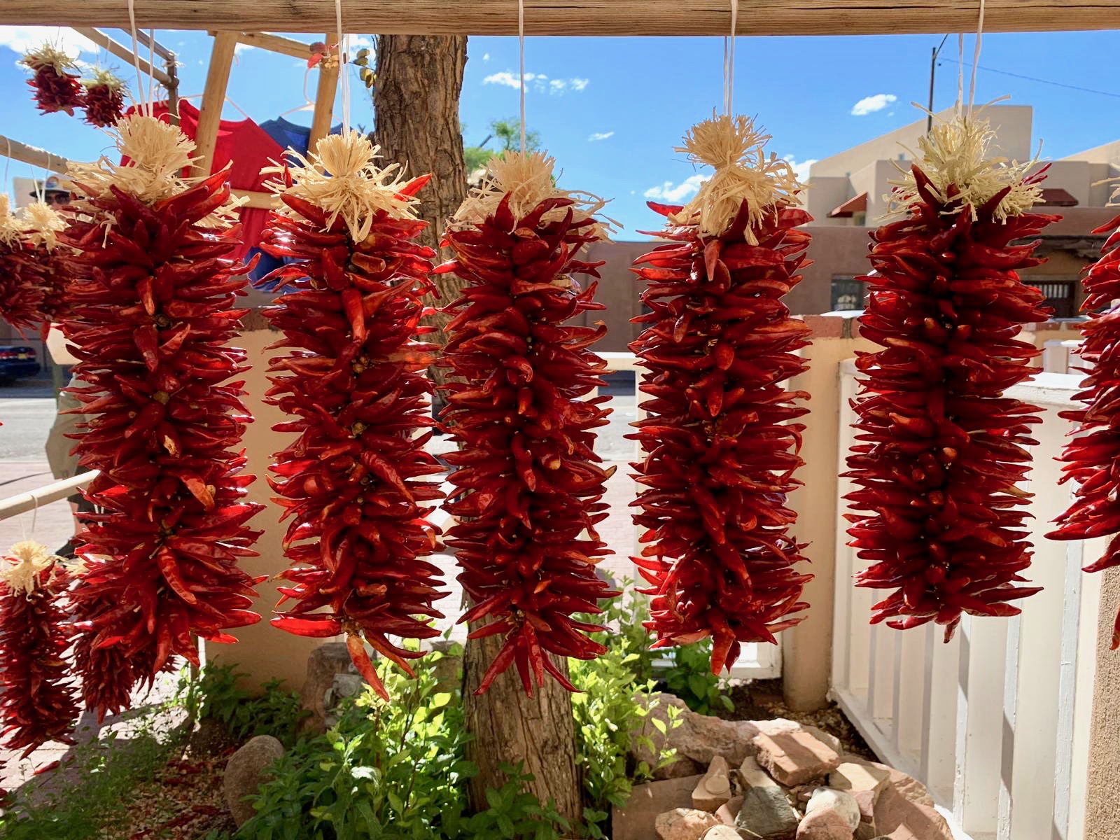 The Best Places to Eat in Santa Fe, New Mexico - Let's Be Merry